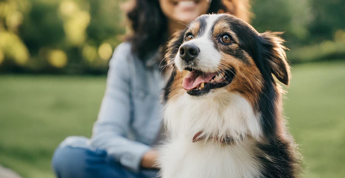 CVS Vets: For pets, for life | CVS Vets